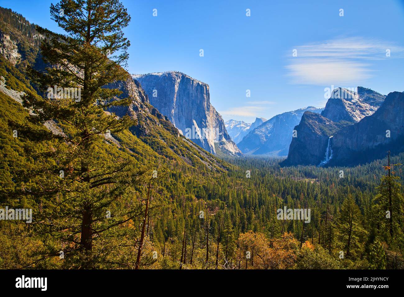 Yosemite iconic Tunnel View with pine tree in foreground Stock Photo ...
