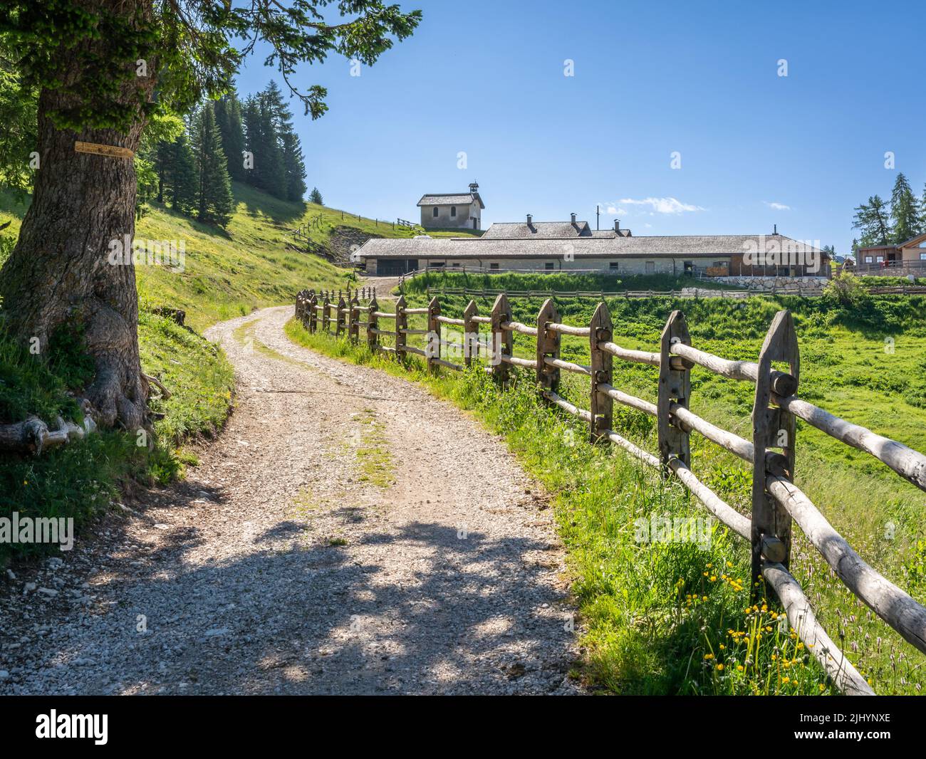 The mountain hut - Malga Romeno, at the feet of the Mount Roen, italian ...