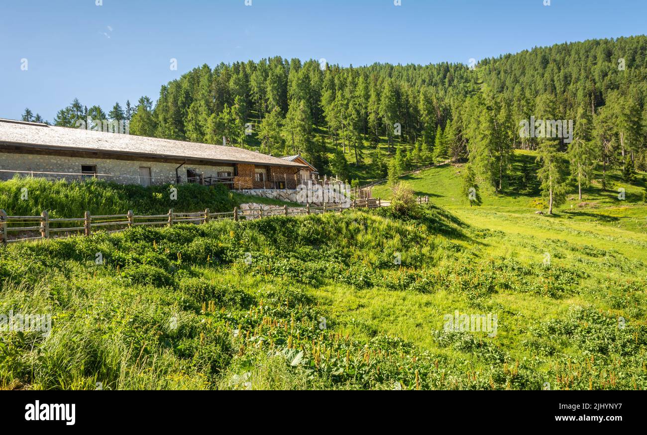 The mountain hut - Malga Romeno, at the feet of the Mount Roen, italian ...