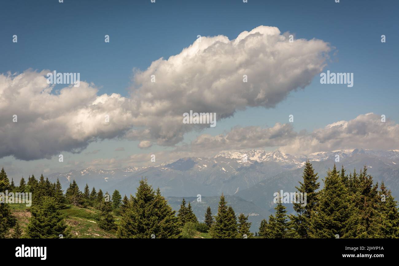 Mount Roen (2,116 m a.s.l.) on the border between South Tyrol and the ...