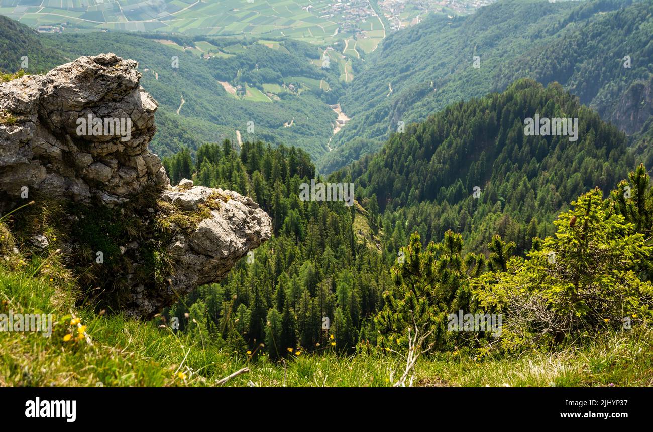 Mt roen hi-res stock photography and images - Alamy