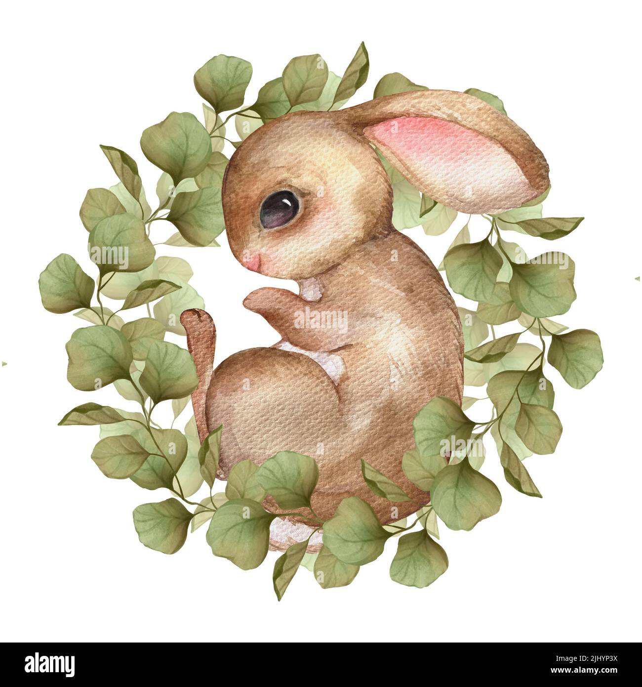 Hare sleep hi-res stock photography and images - Alamy