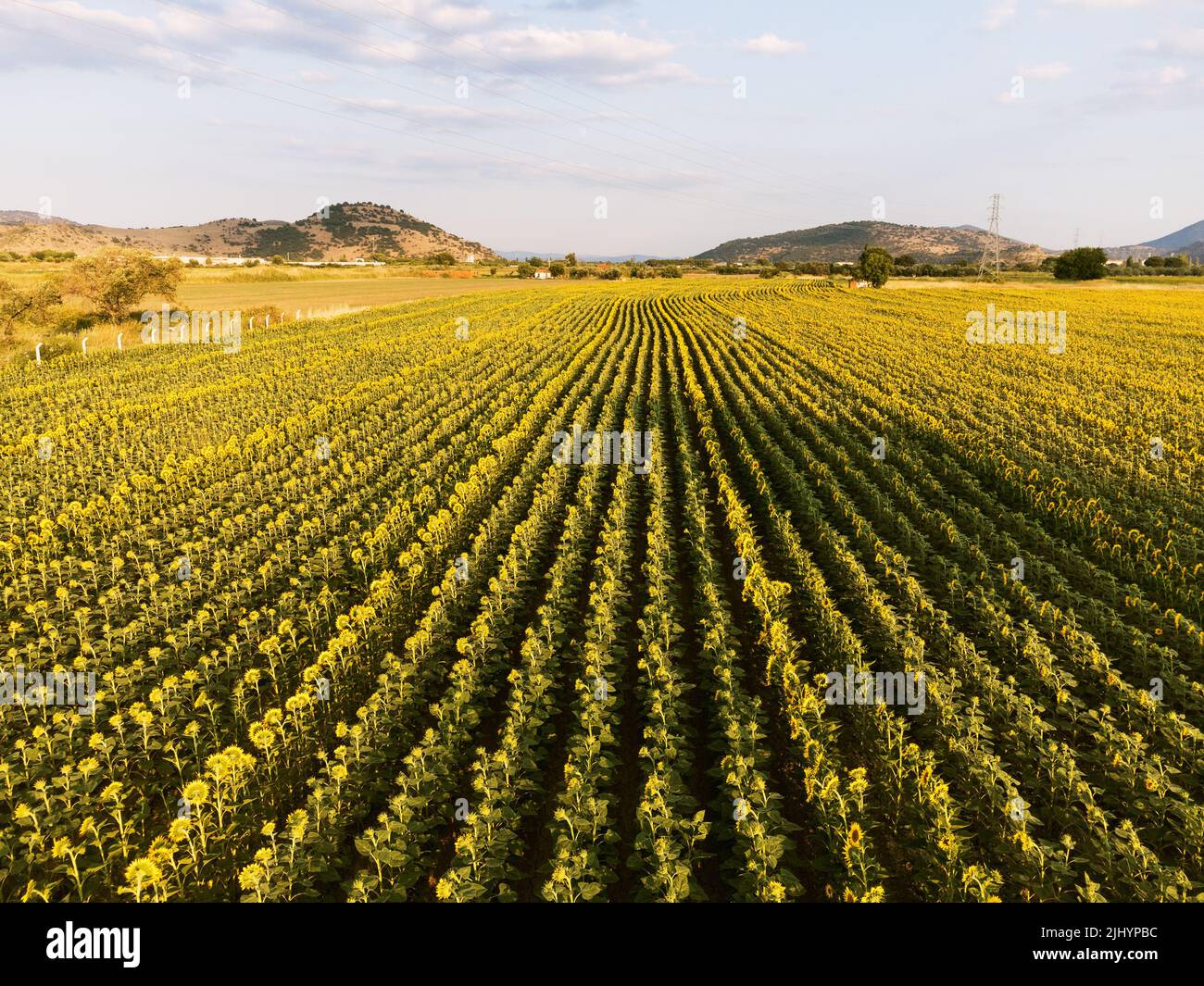 Drone flying over farmland fields hi-res stock photography and images ...