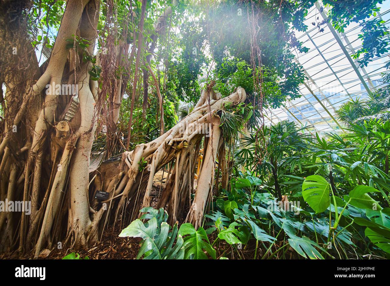 Rainforest conservatory hi-res stock photography and images - Alamy