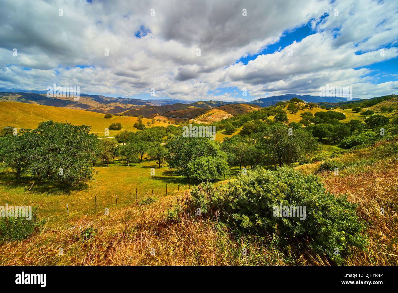 Vibrant spring landscape hi-res stock photography and images - Alamy