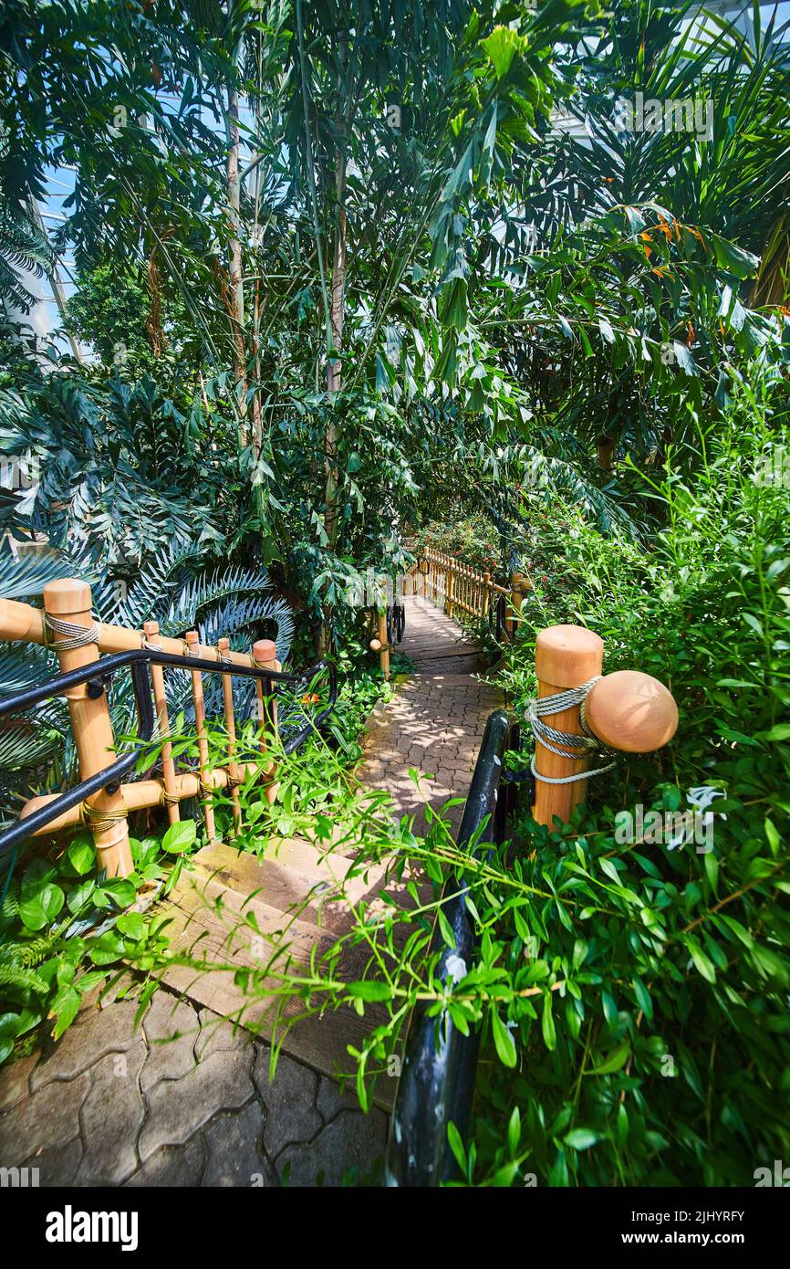 Simple path leading into deep rain forest gardens Stock Photo - Alamy