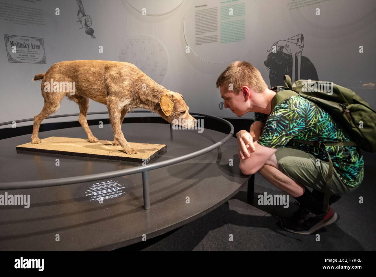 Gregor johann mendel hi-res stock photography and images - Alamy