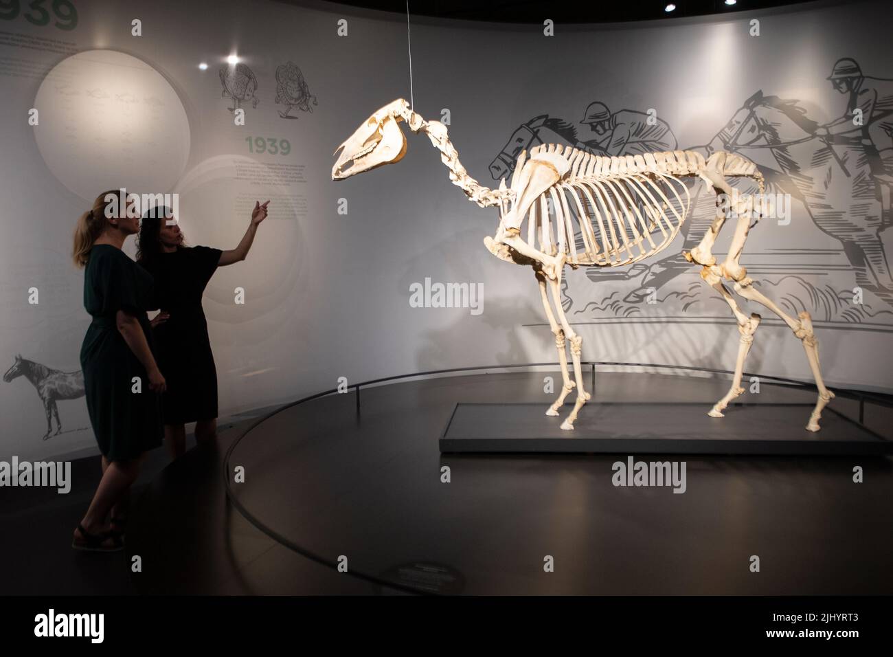 Gregor johann mendel hi-res stock photography and images - Alamy