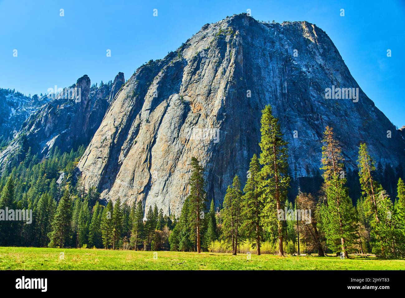 Yosemite iconic Cathedral Rocks from fields and forest floor Stock ...