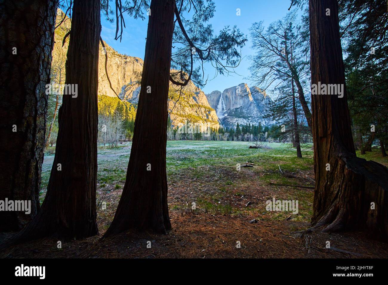 Upper Yosemite Falls through opening in dark forest Stock Photo - Alamy