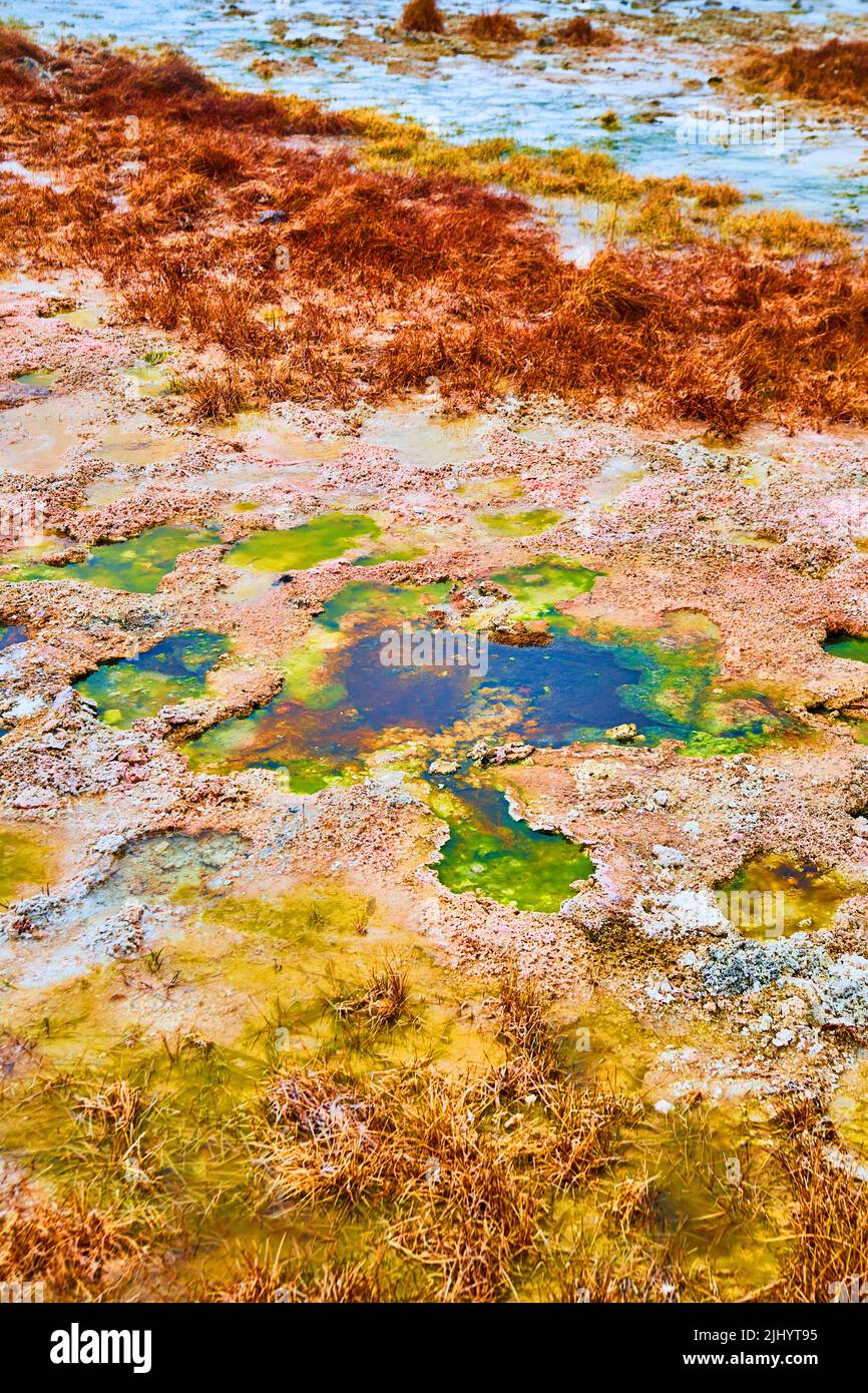 Yellowstone detail of colorful pools of water Stock Photo - Alamy