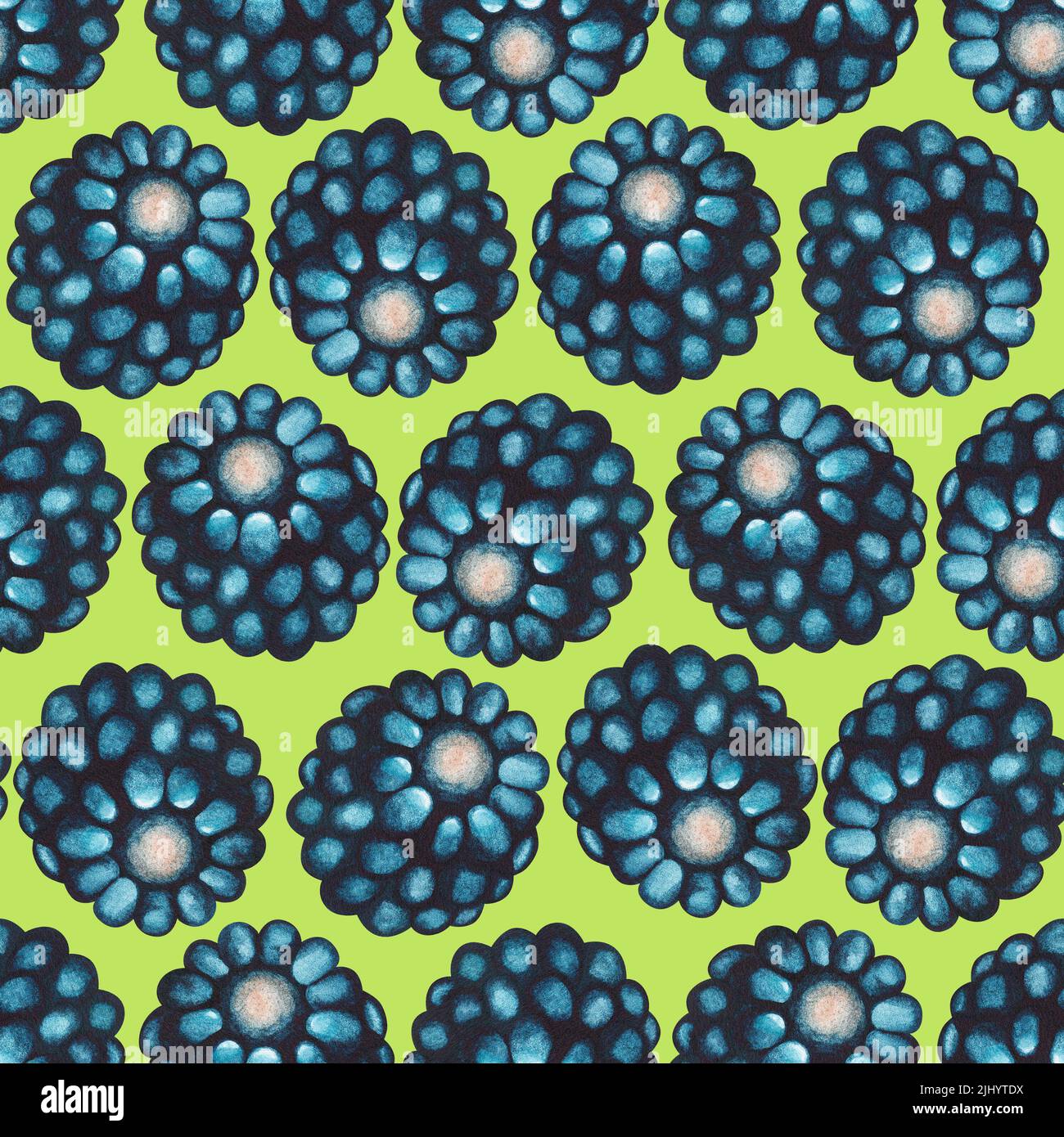 Bramble pattern illustration hi-res stock photography and images - Alamy