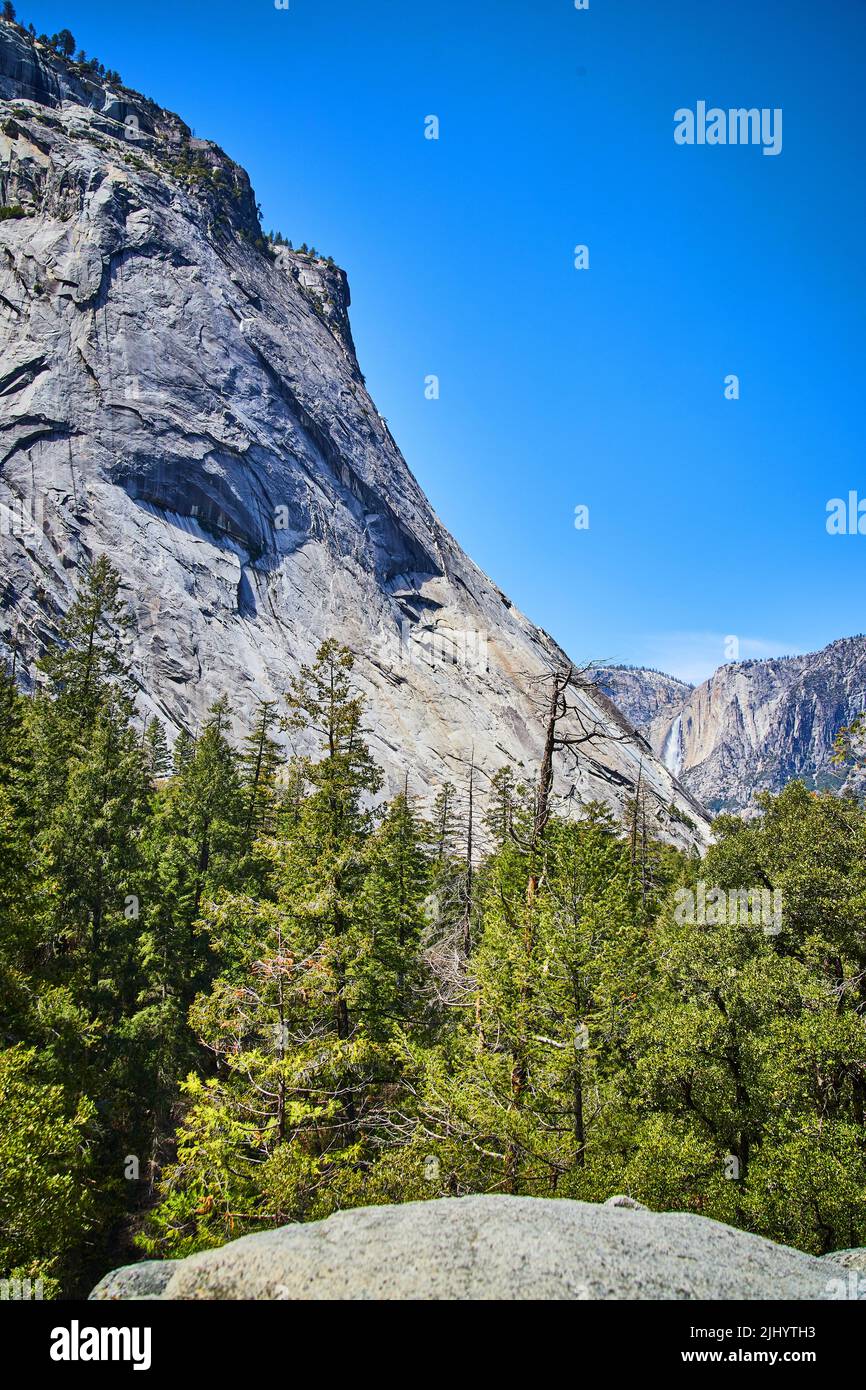 View from boulder of Yosemite valley filled with pine trees and ...