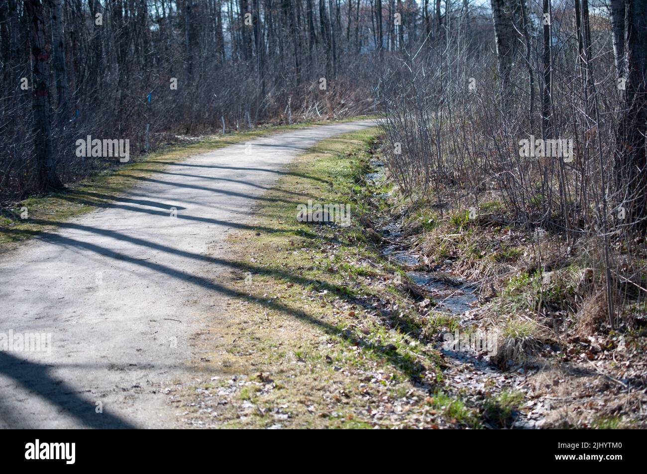A narrow path in the woods during daytime Stock Photo - Alamy