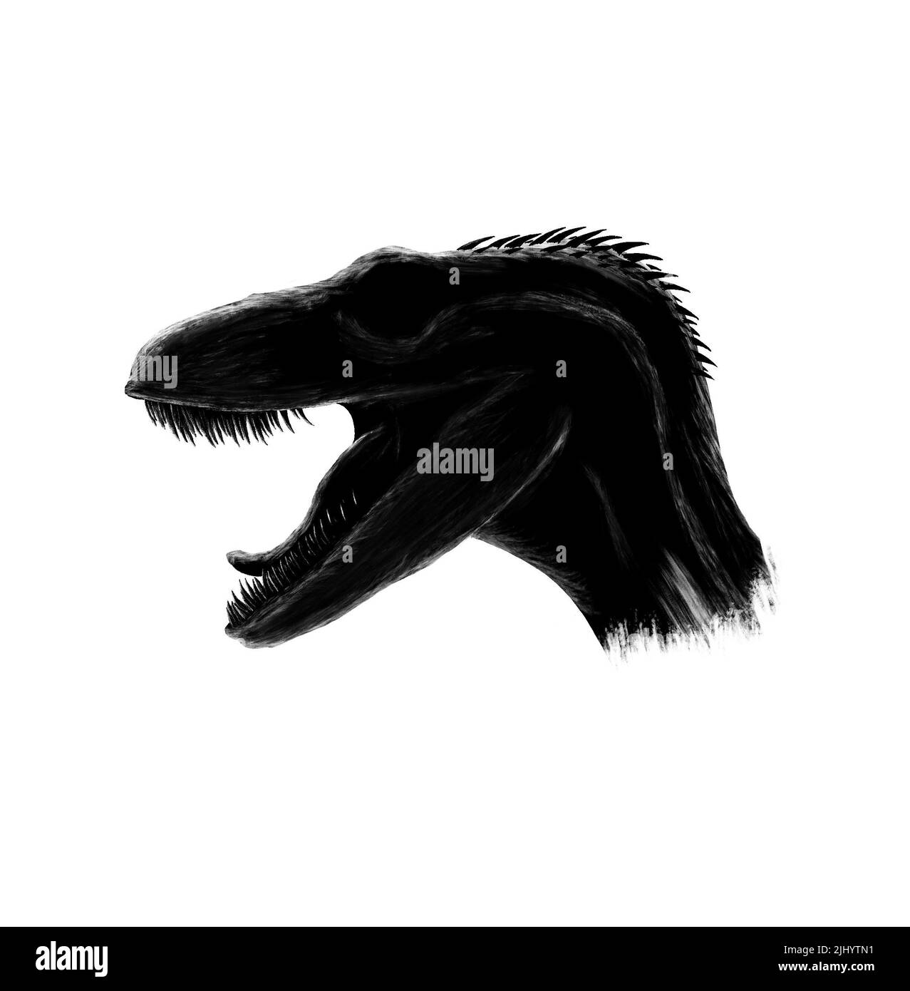 Velociraptor Black and White Stock Photos & Images - Alamy