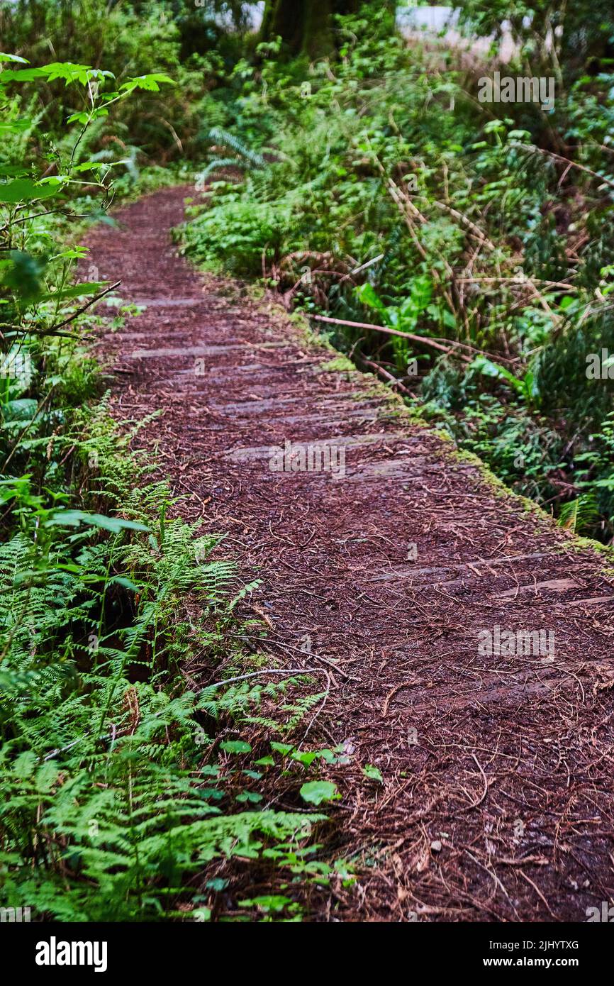 Needles california road hi-res stock photography and images - Alamy