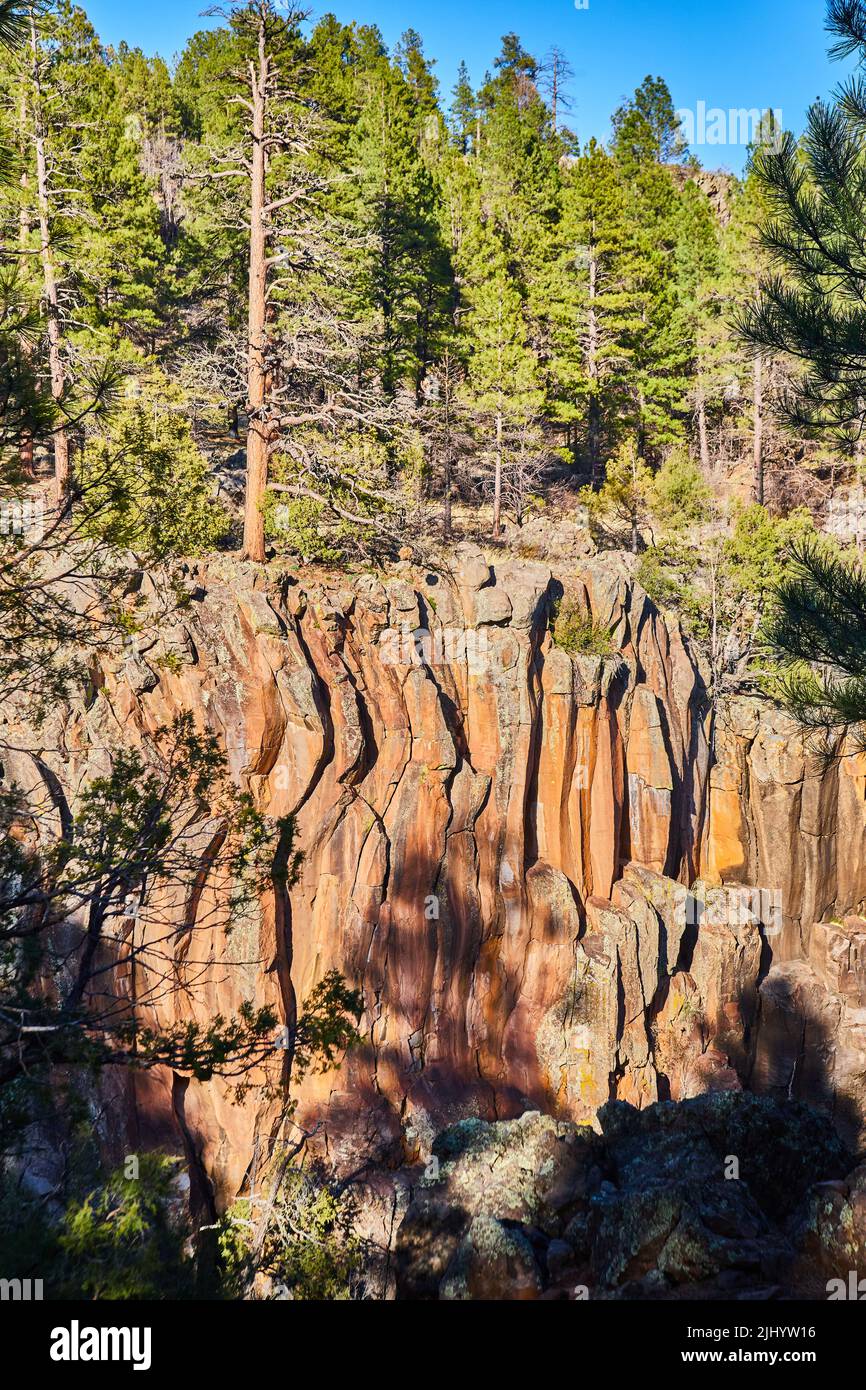 Wavy rocky landscapes with golden light and pine trees Stock Photo - Alamy