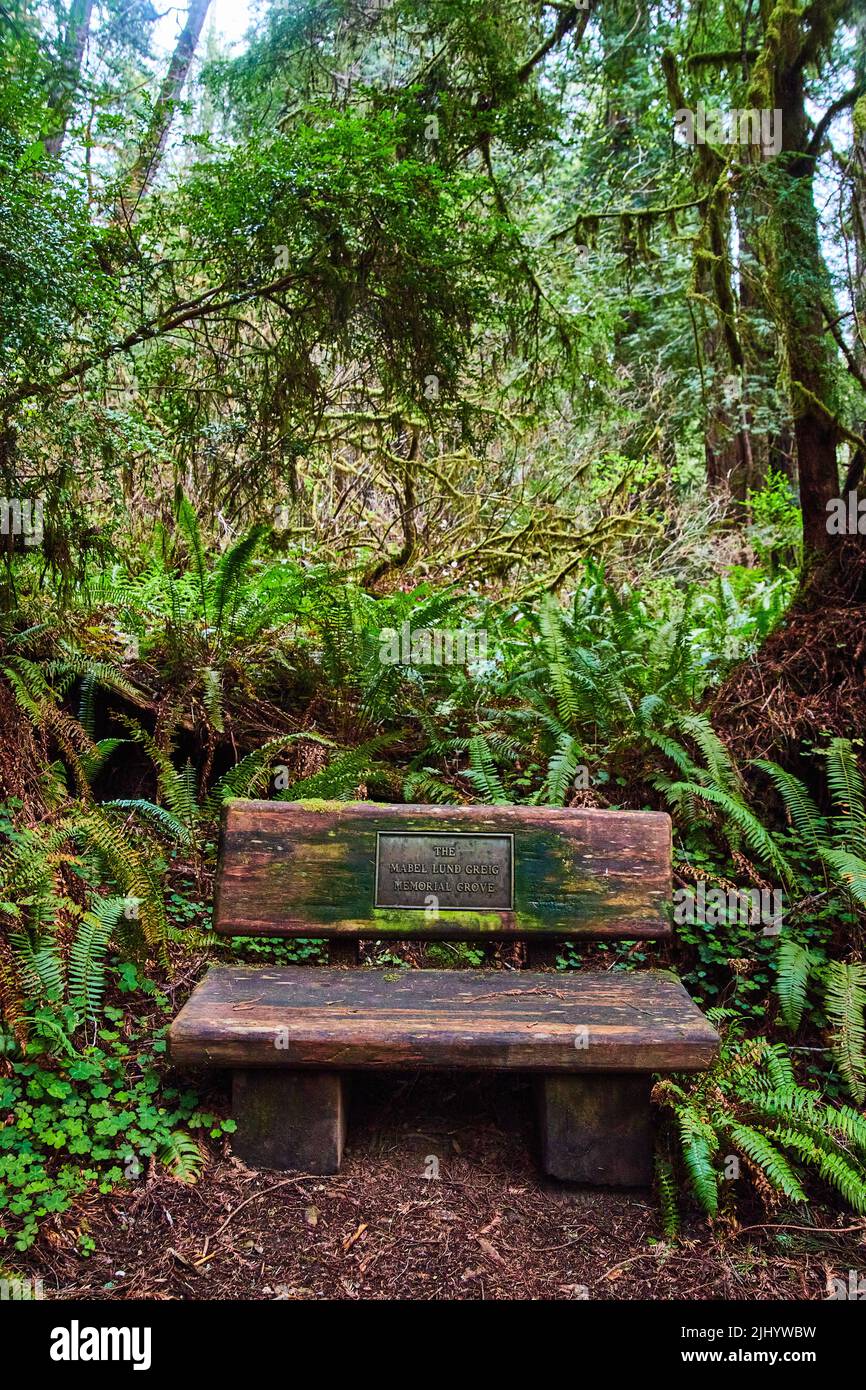 Wood garden bench hi-res stock photography and images - Alamy