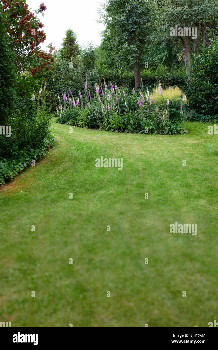 Landscape view of a cultivated garden with plants and trees in a home ...