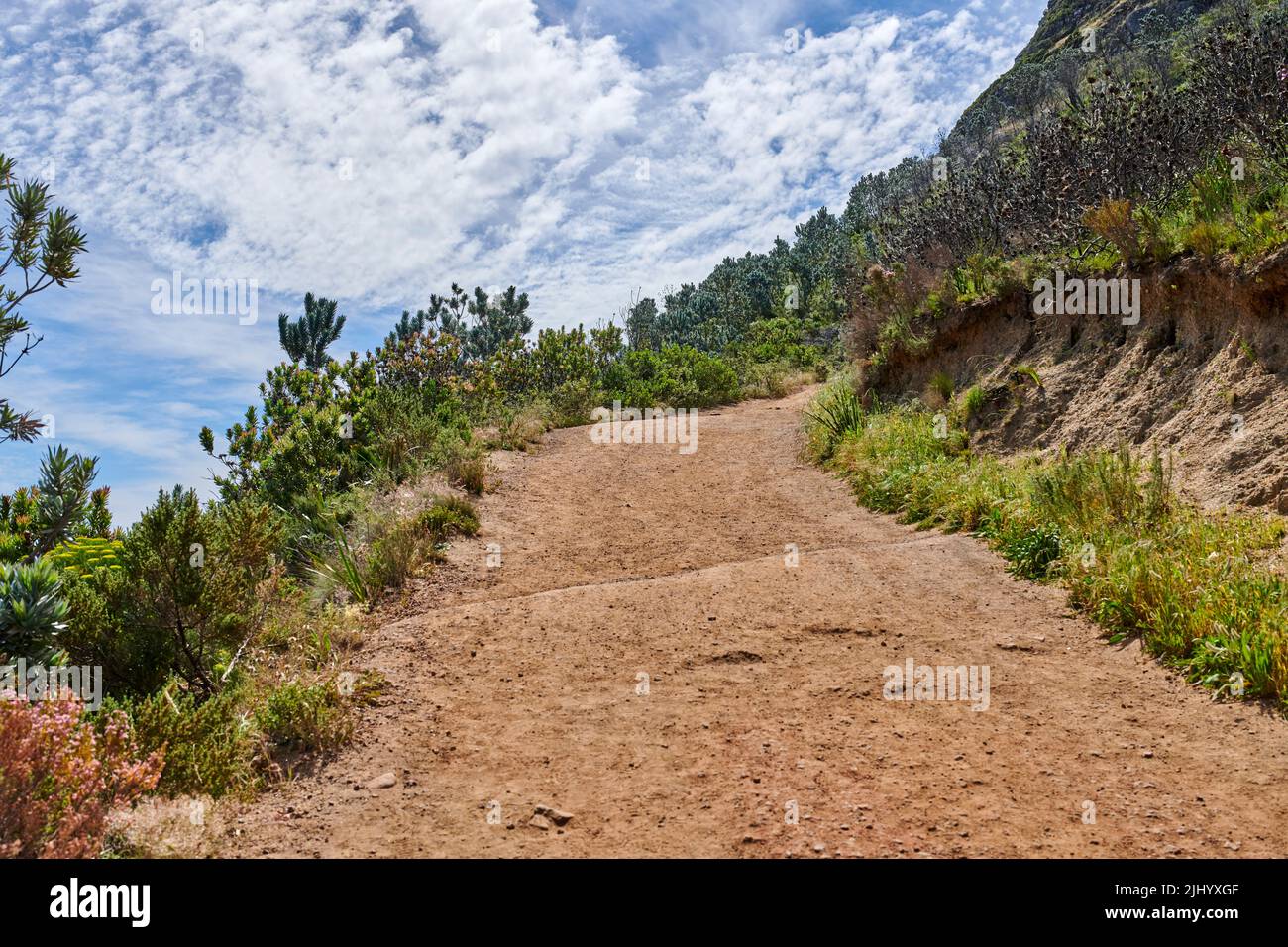 Peaceful mountain trail with bushes and plants with a cloudy blue sky ...