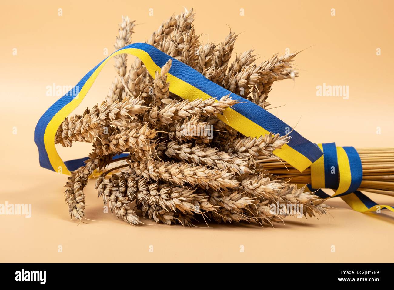 delivery of Ukrainian grain for the hungry, wheat with a yellow-blue ...