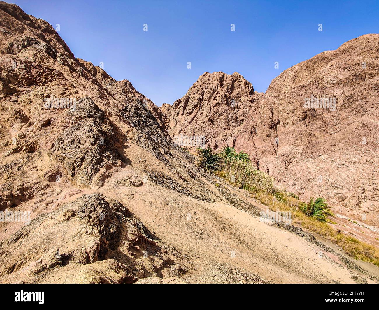 Beautiful Oasis in the desert with palm and mountain view in Dahab ...