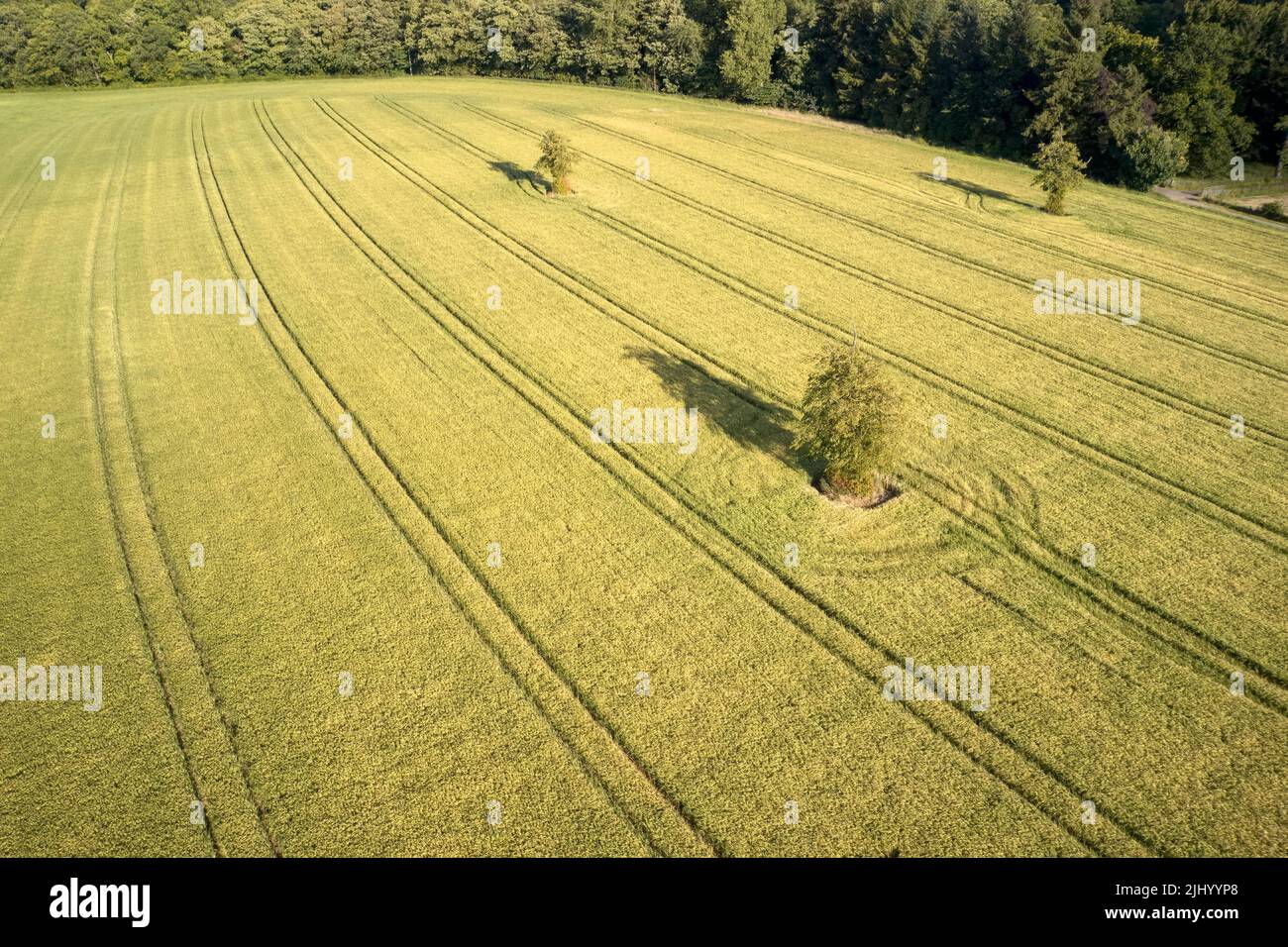 Field ploughed by farmer on farm for harvesting crops Stock Photo - Alamy