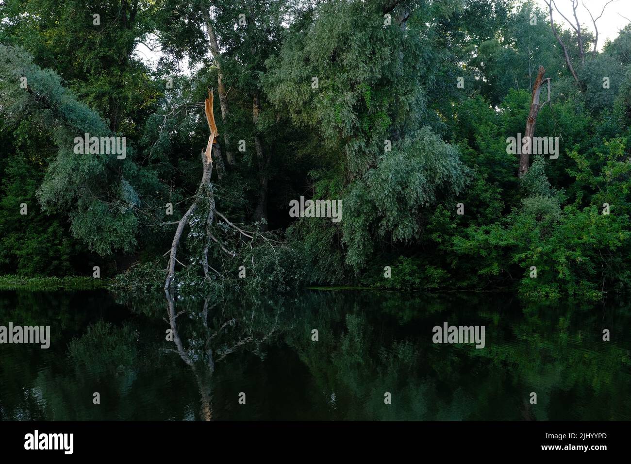 Hurricane broken hi-res stock photography and images - Alamy