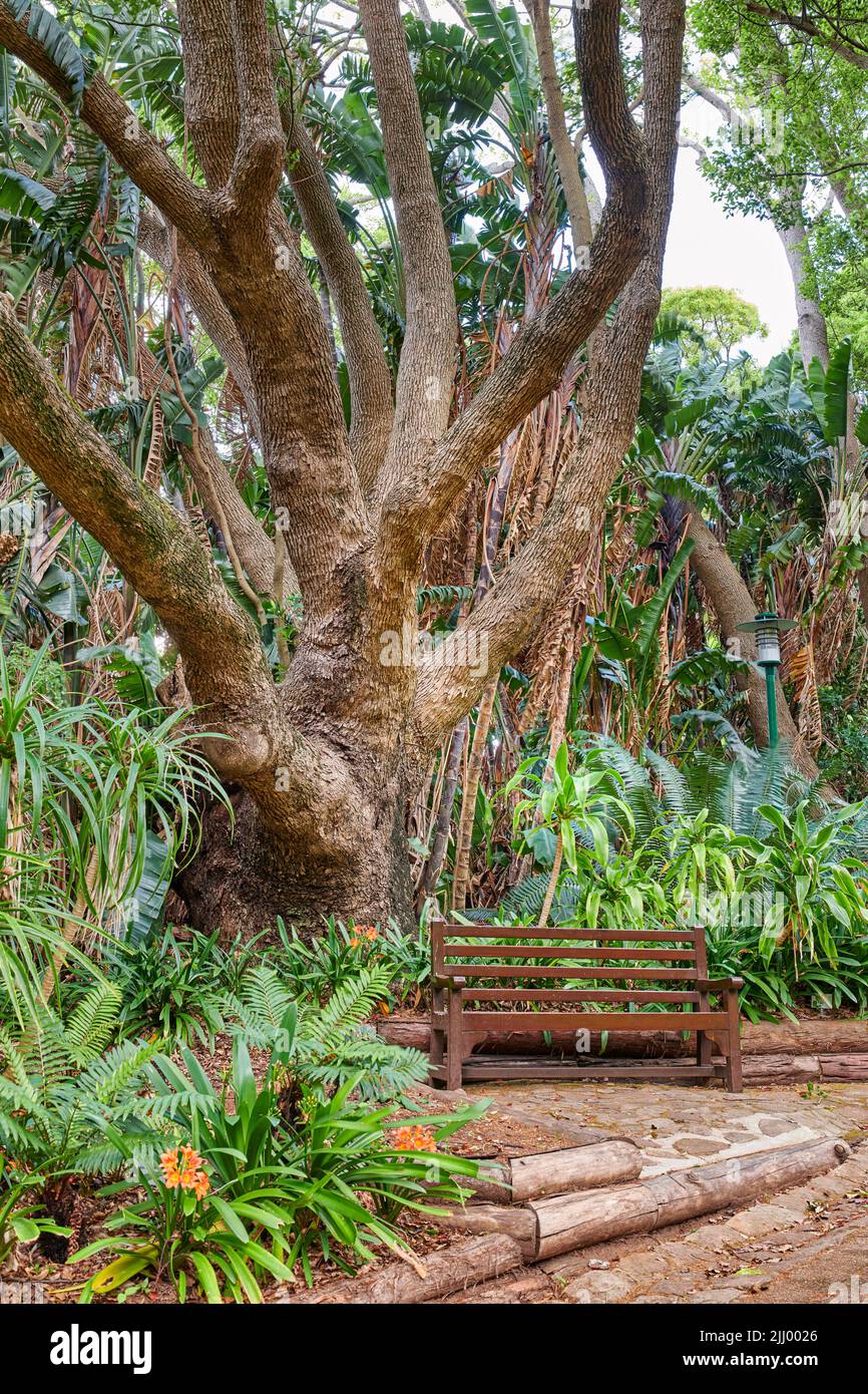 Beautiful protected plants hi-res stock photography and images - Alamy