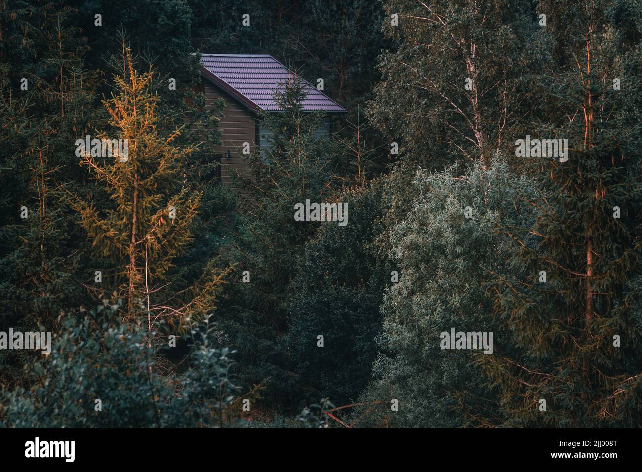 Lonely house in yellow hi-res stock photography and images - Alamy