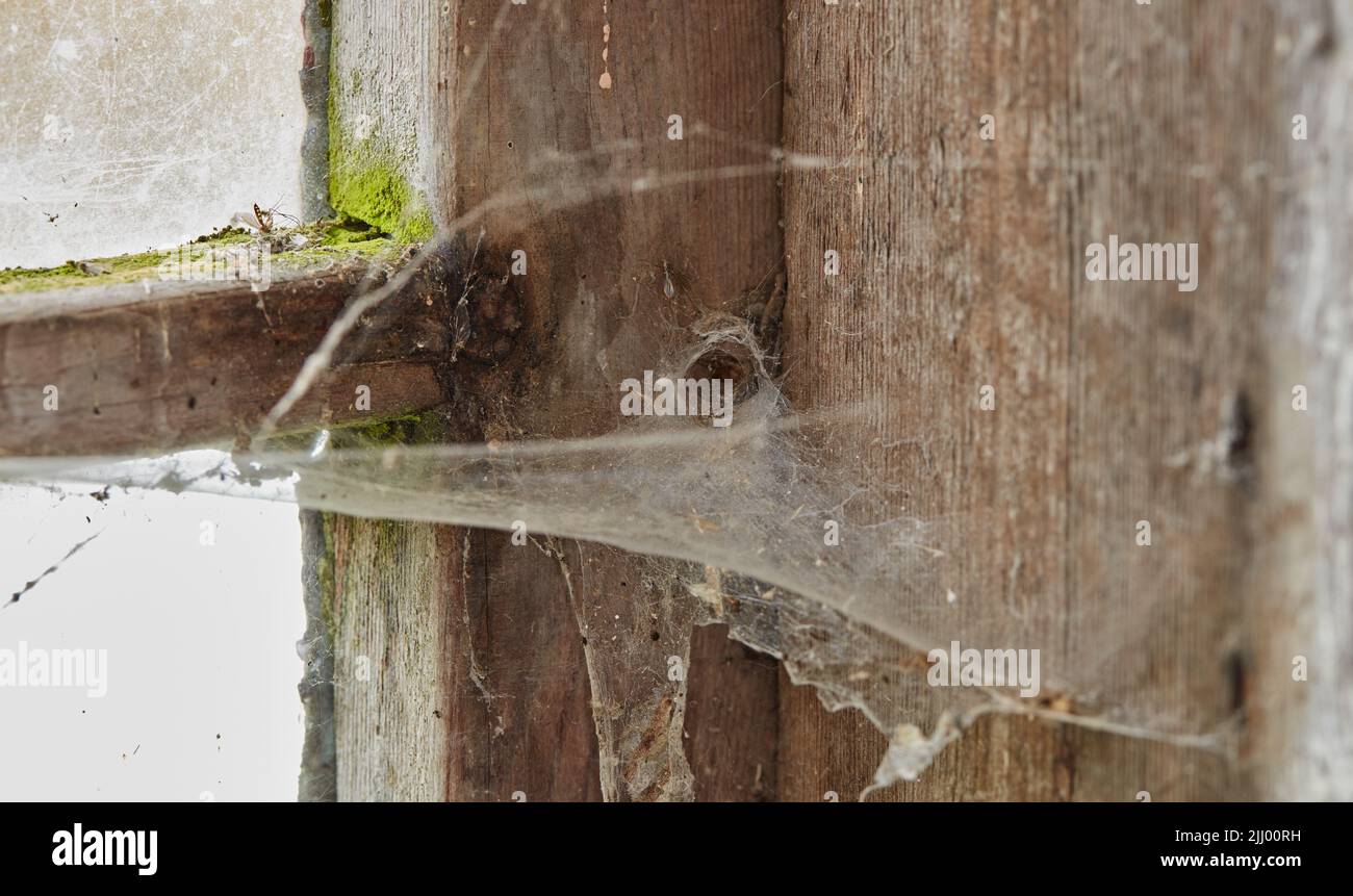 Spider web on an old dirty window in an abandoned home. Zoom in on ...