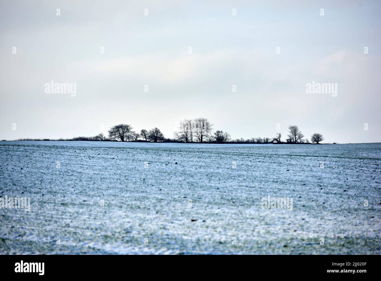 Snowy plowed field in a rural countryside in nature during chilly and ...