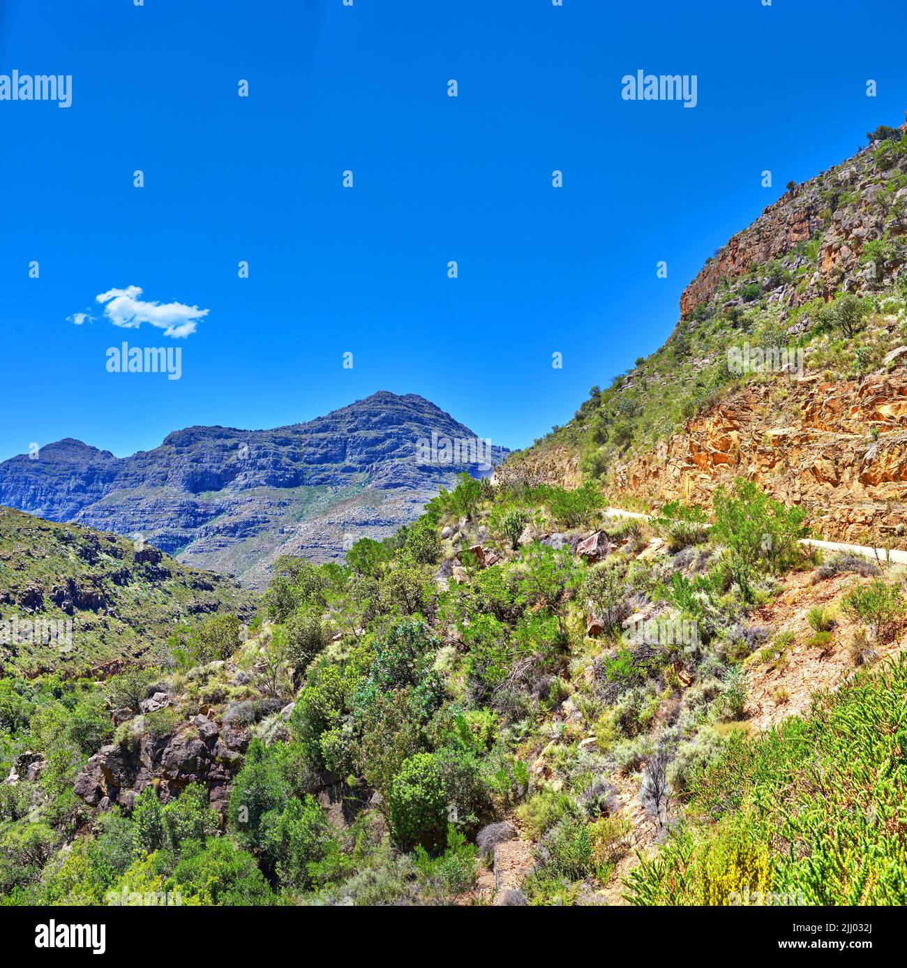 Beautiful landscape of mountains covered in lush green plants with a ...