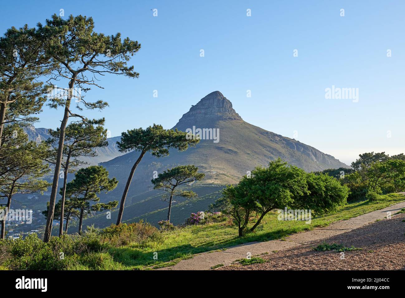 Beautiful view of Lions Head mountain surrounded by green trees on ...