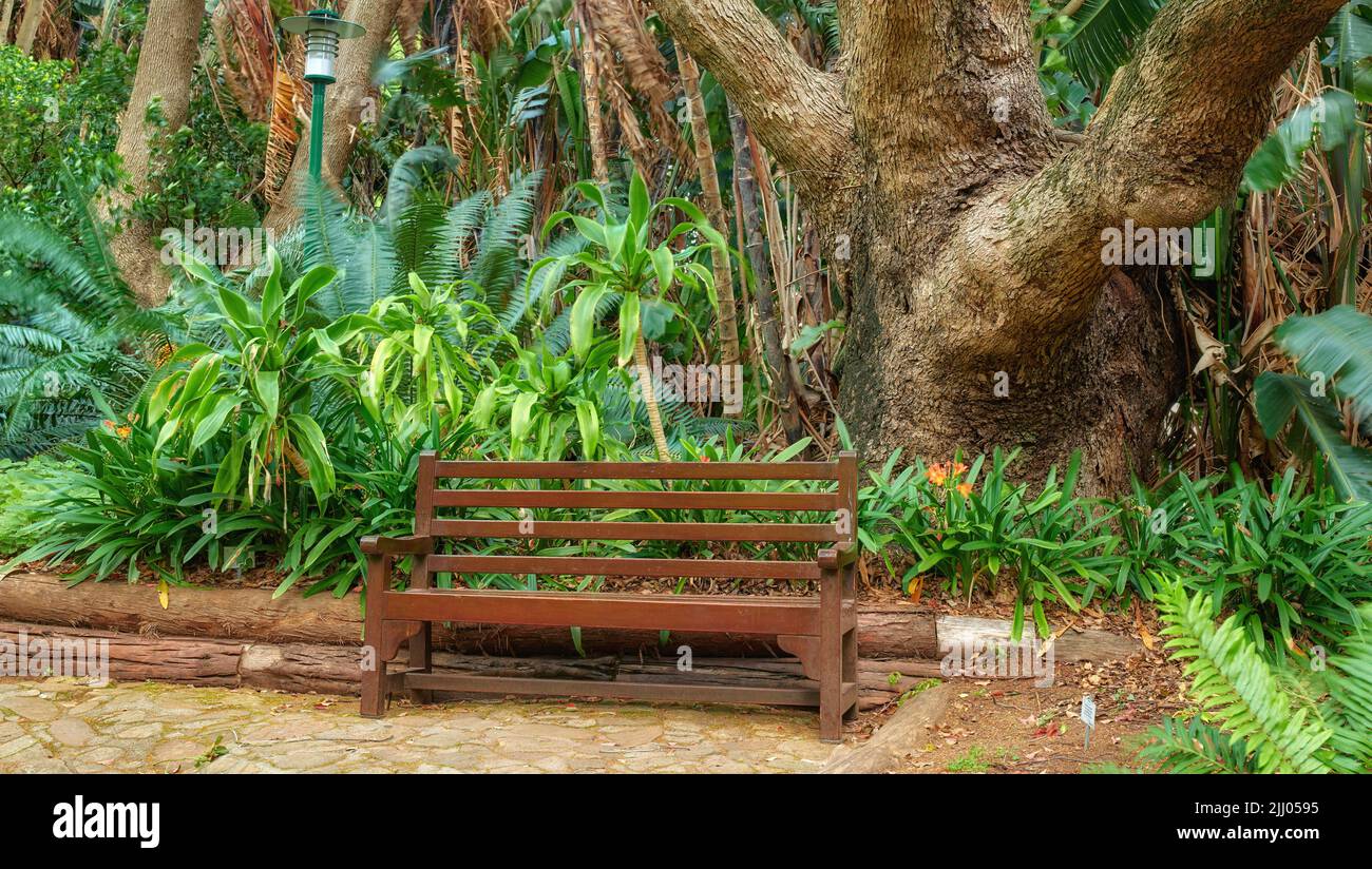 Relaxing seating on a bench in a park. Beautiful nature scenery of a ...