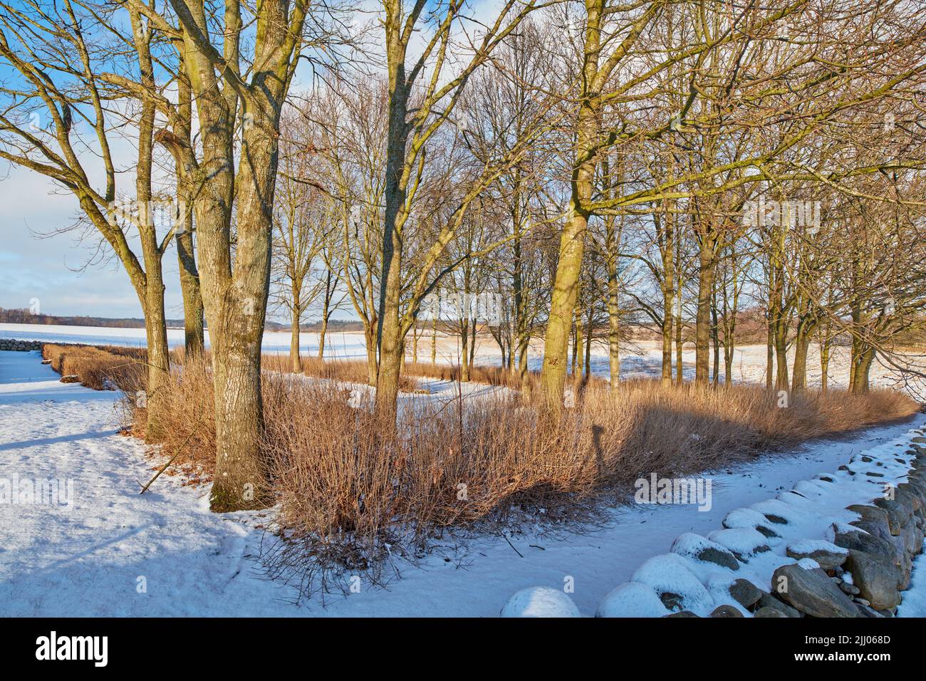 Nature cold day ice park snow sunny winter hi-res stock photography and ...
