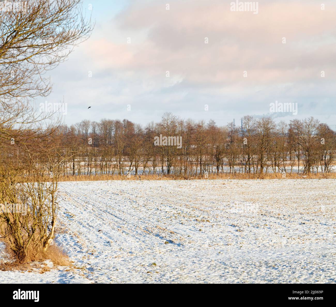 Straw and hay farm land covered in snow with a cloudy sky on a cold ...