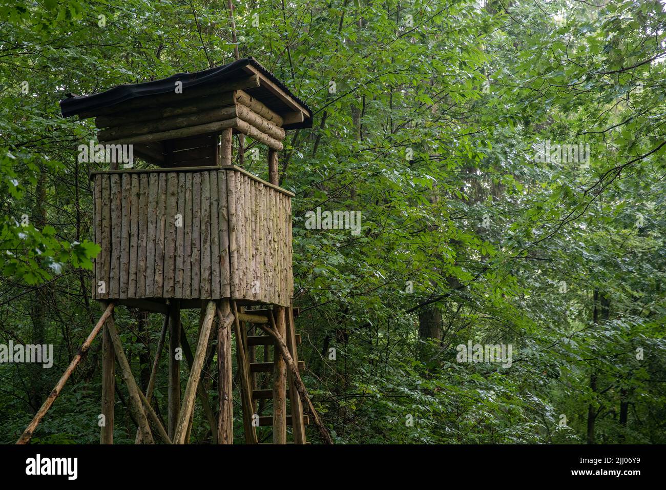 High seat of a hunter in the black forrest. Tree stand, ladder stand or ...