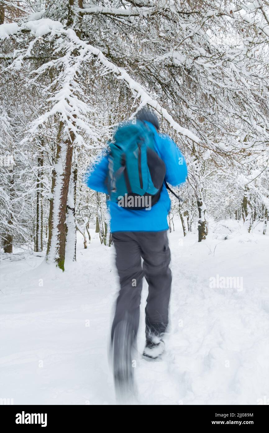 Rear view of male hiker running in snow covered forest in Yorkshire ...
