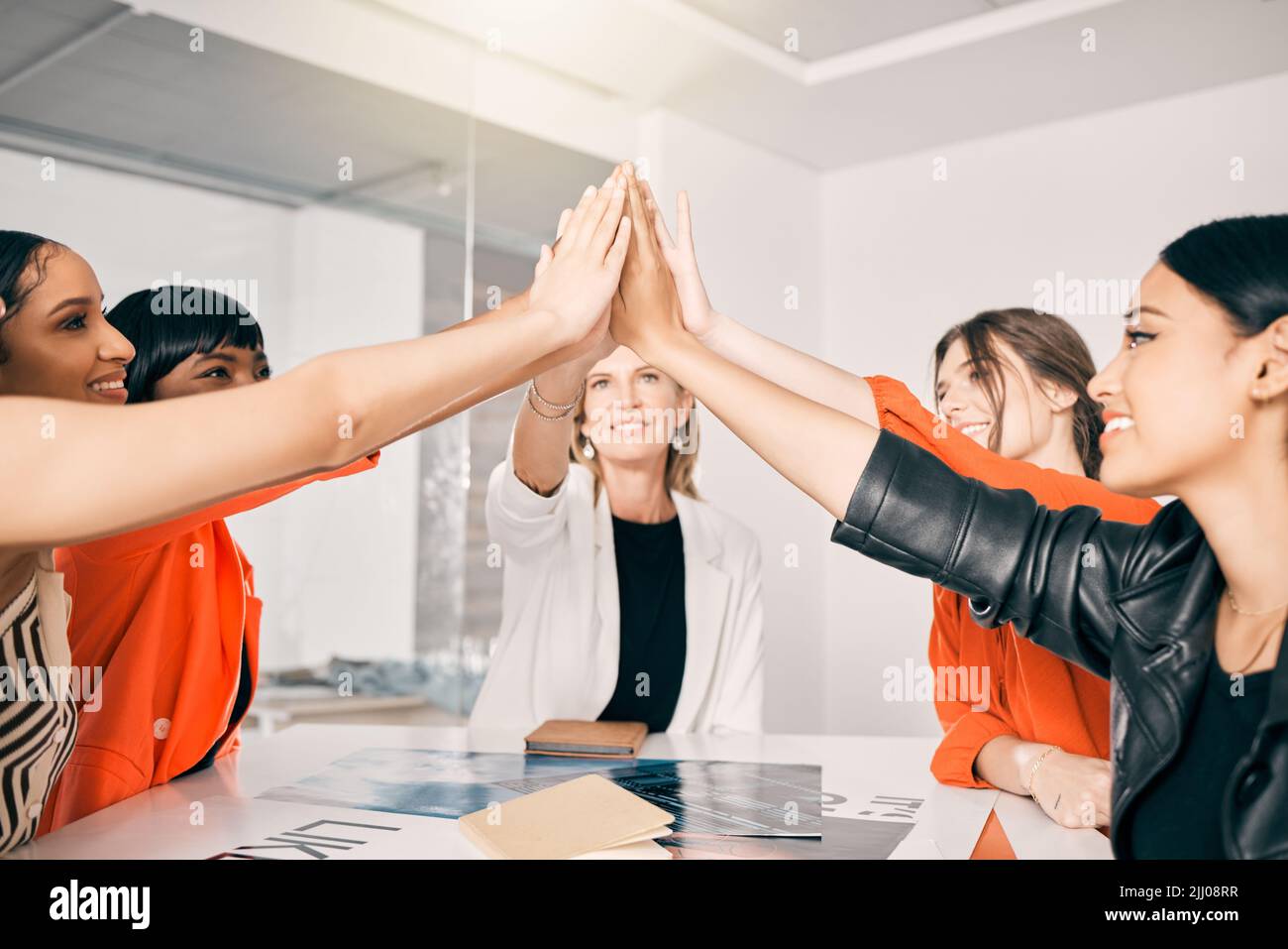 Supporting each other all the way to the top. a group of businesswoman ...