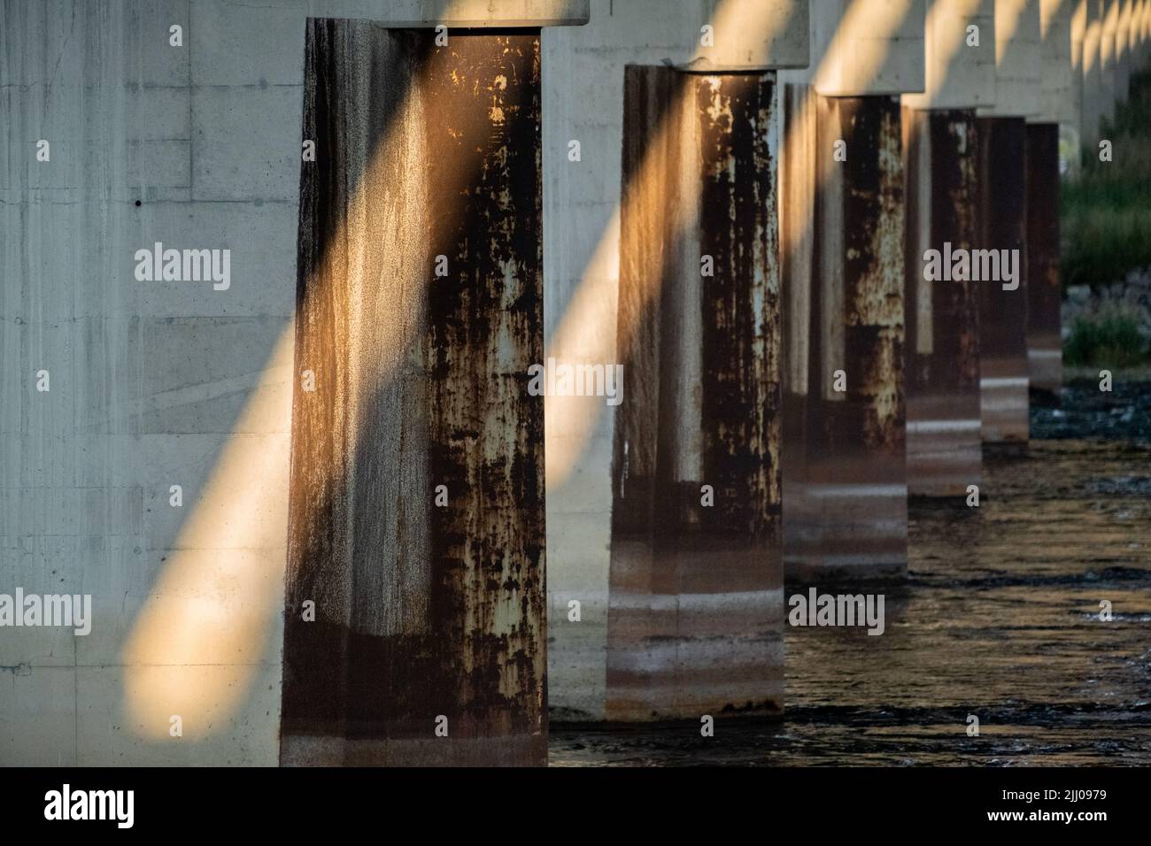 Under a commuter bridge with pillars in water on a sunny summer morning ...