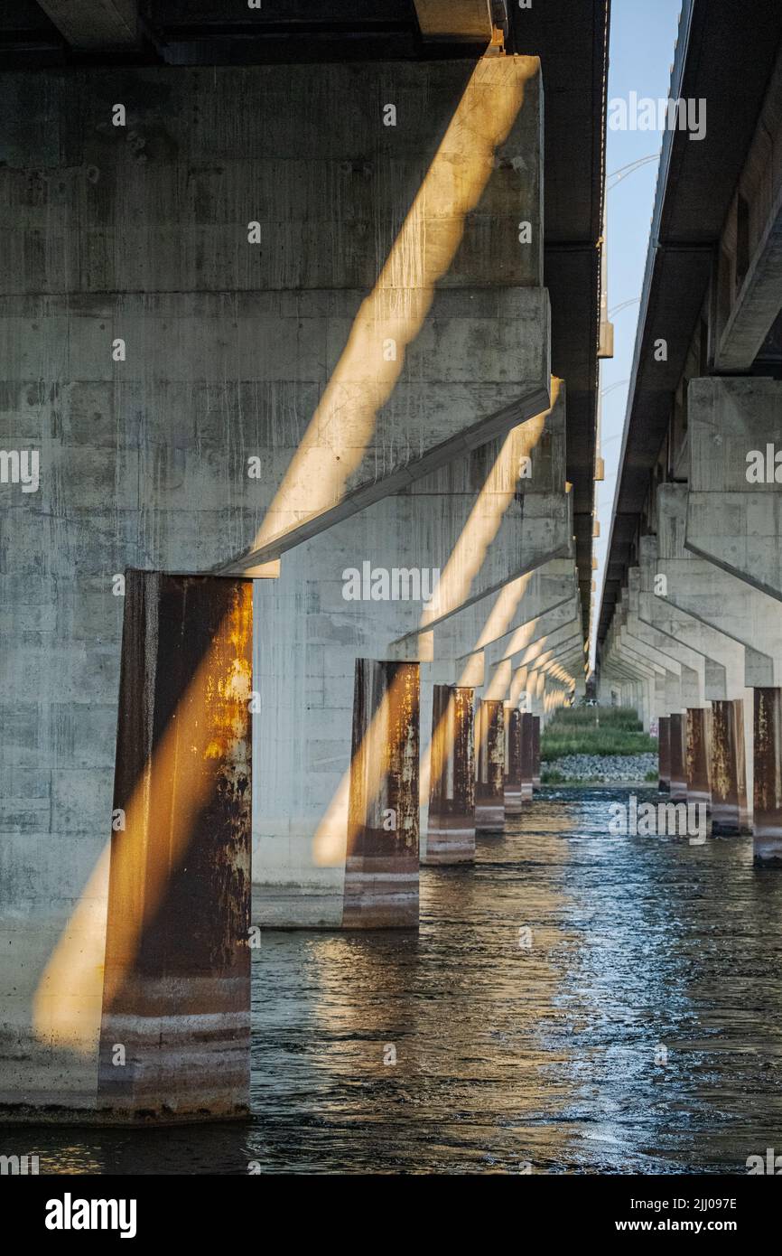 Under a commuter bridge with pillars in water on a sunny summer morning ...