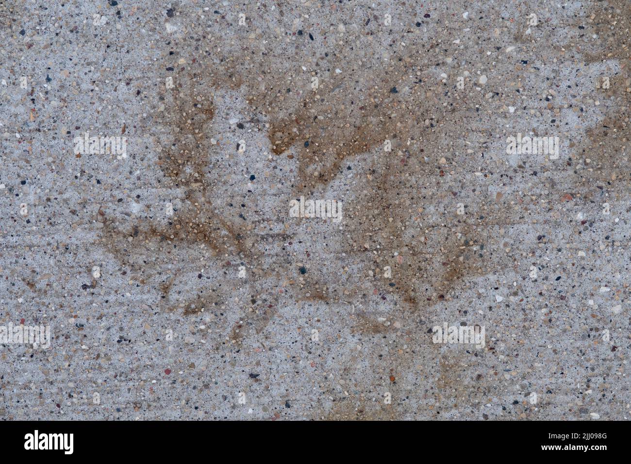 Leaf imprint rock hi-res stock photography and images - Alamy