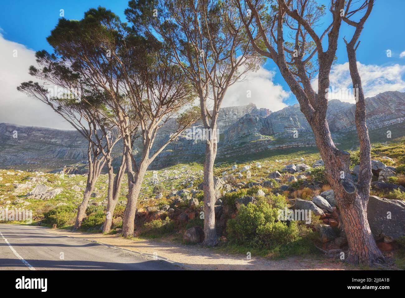 Road or tar street leading to scenic mountain view with blue sky during ...