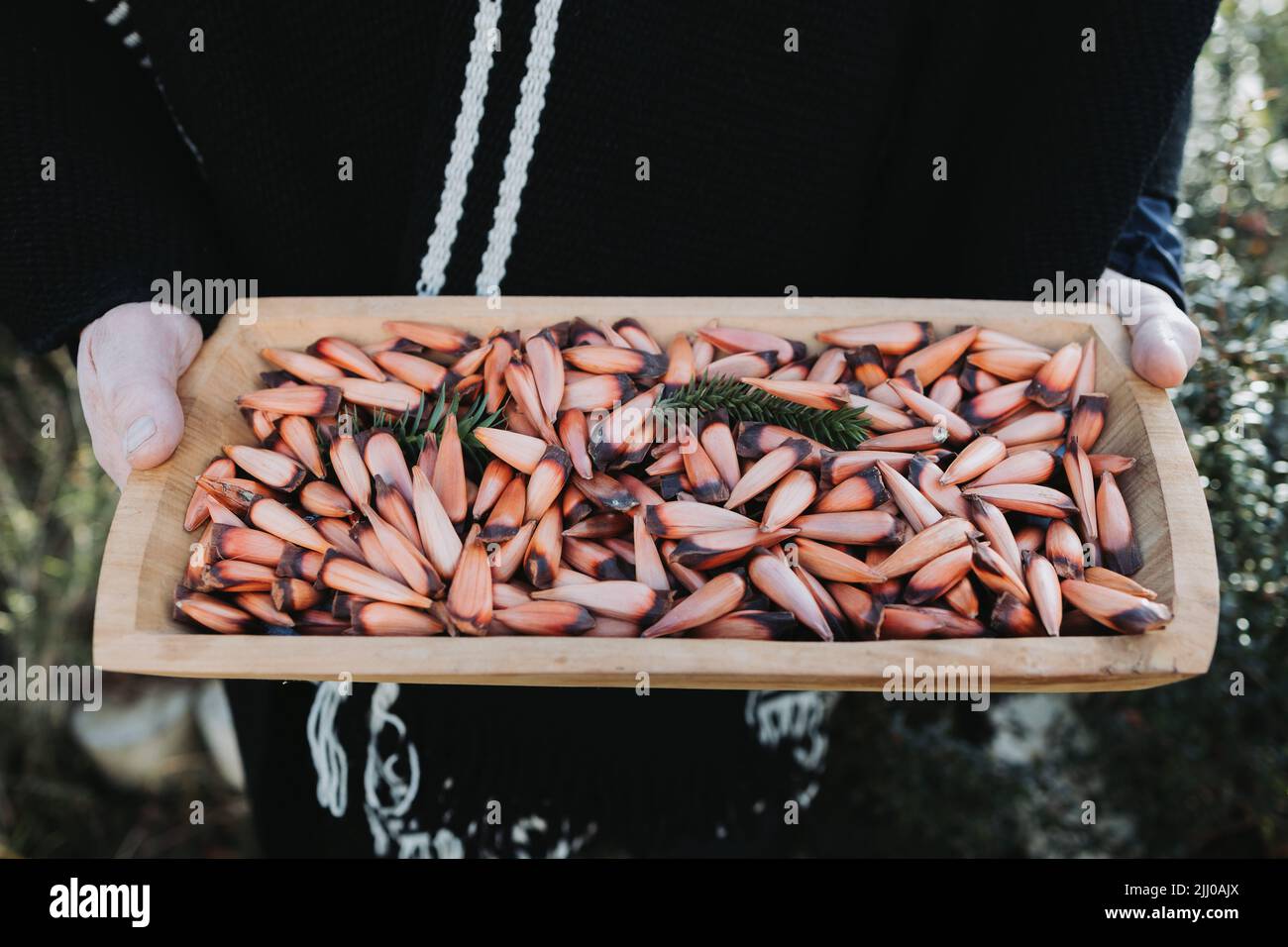 Unrecognizable traditional person using a wool poncho, holding a rustic ...