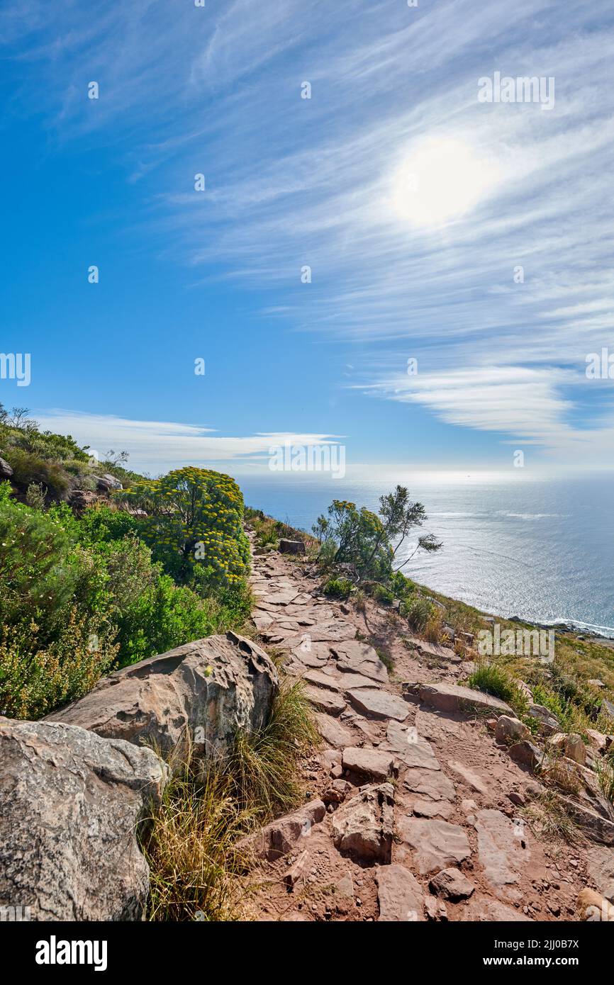 Lions in trees hi-res stock photography and images - Alamy