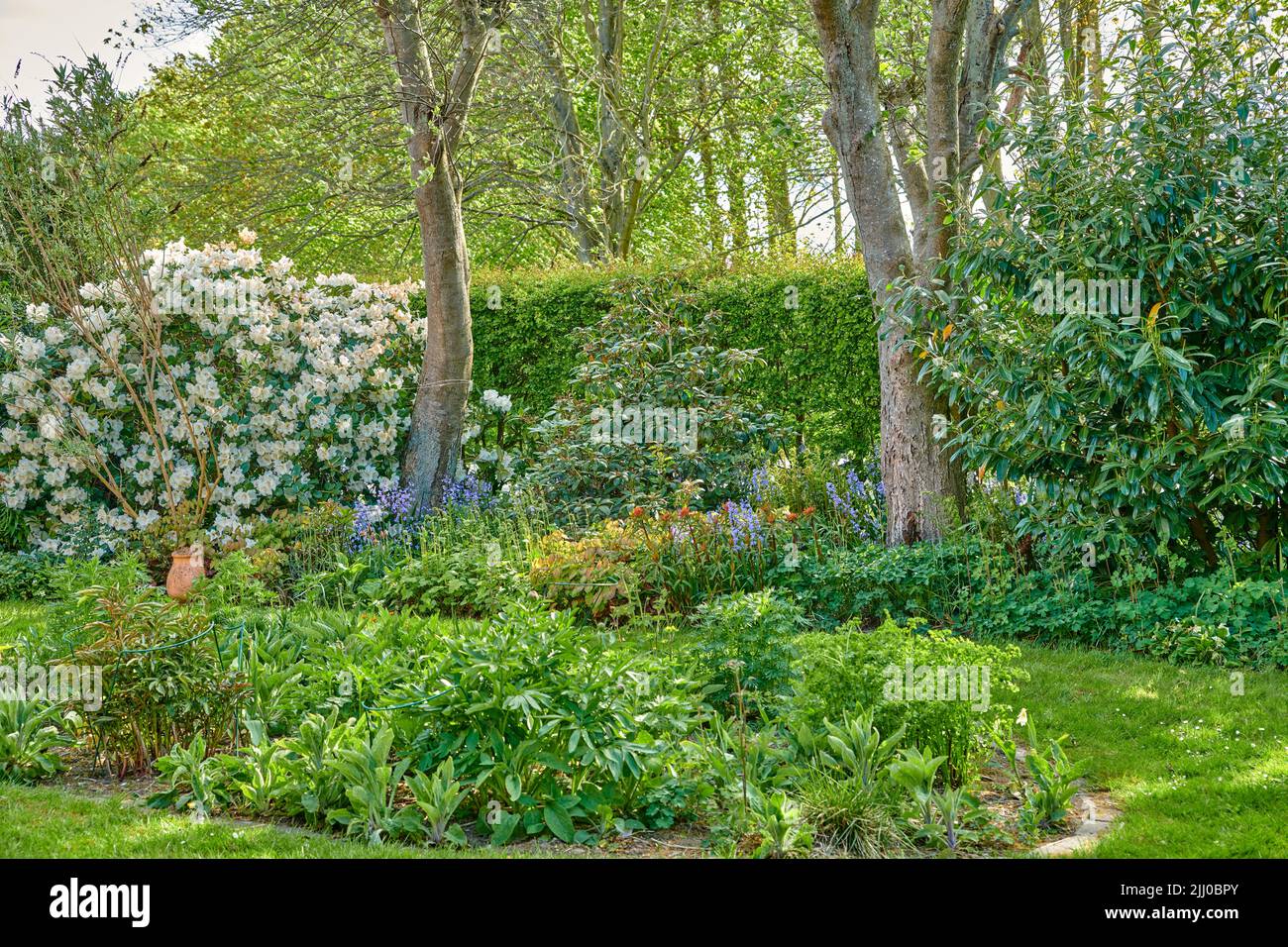 Tall bushes hi-res stock photography and images - Alamy
