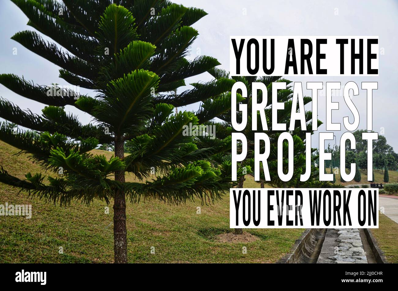 Inspirational and motivational quote. Phrase YOU ARE THE GREATEST ...