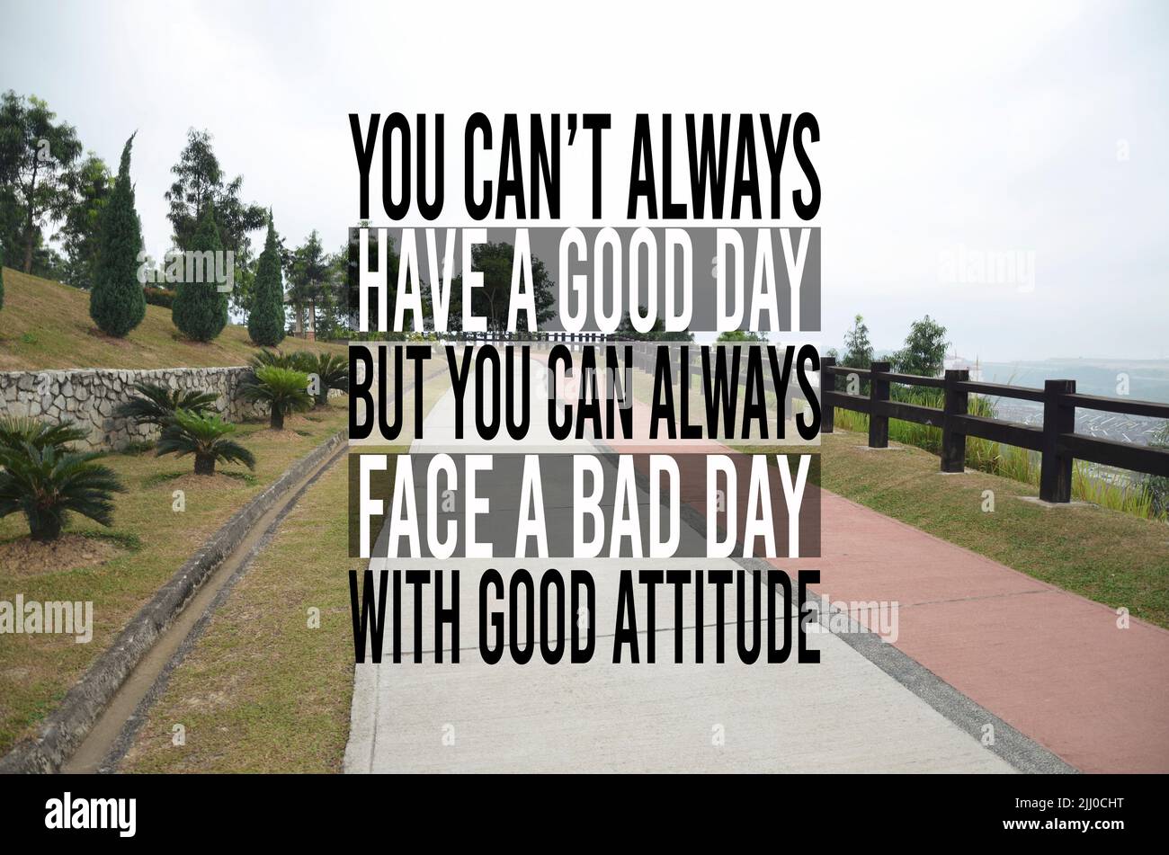 Inspirational and motivational quote. Phrase YOU CAN'T ALWAYS HAVE A ...