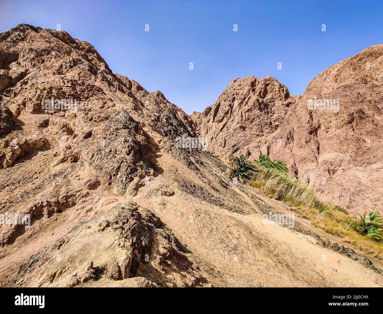 Beautiful Oasis in the desert with palm and mountain view in Dahab ...